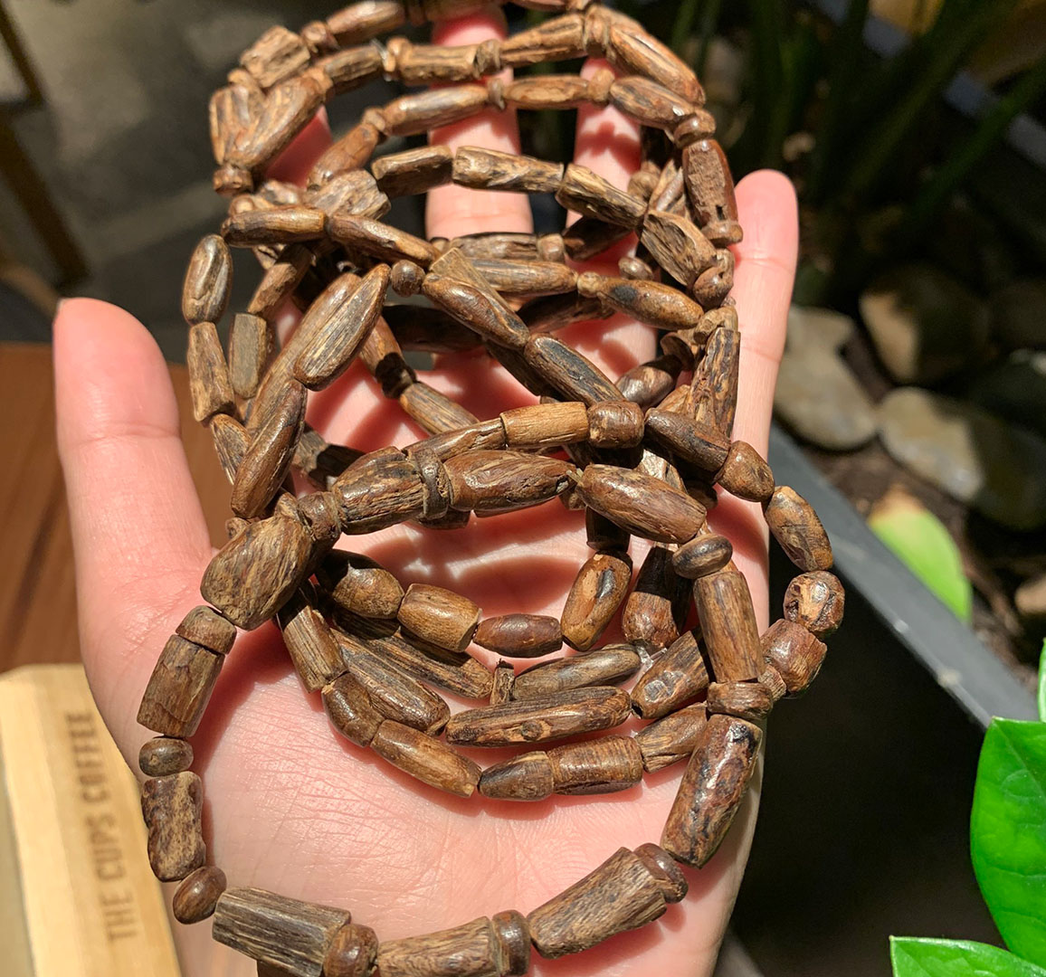 Trầm rục việt nam